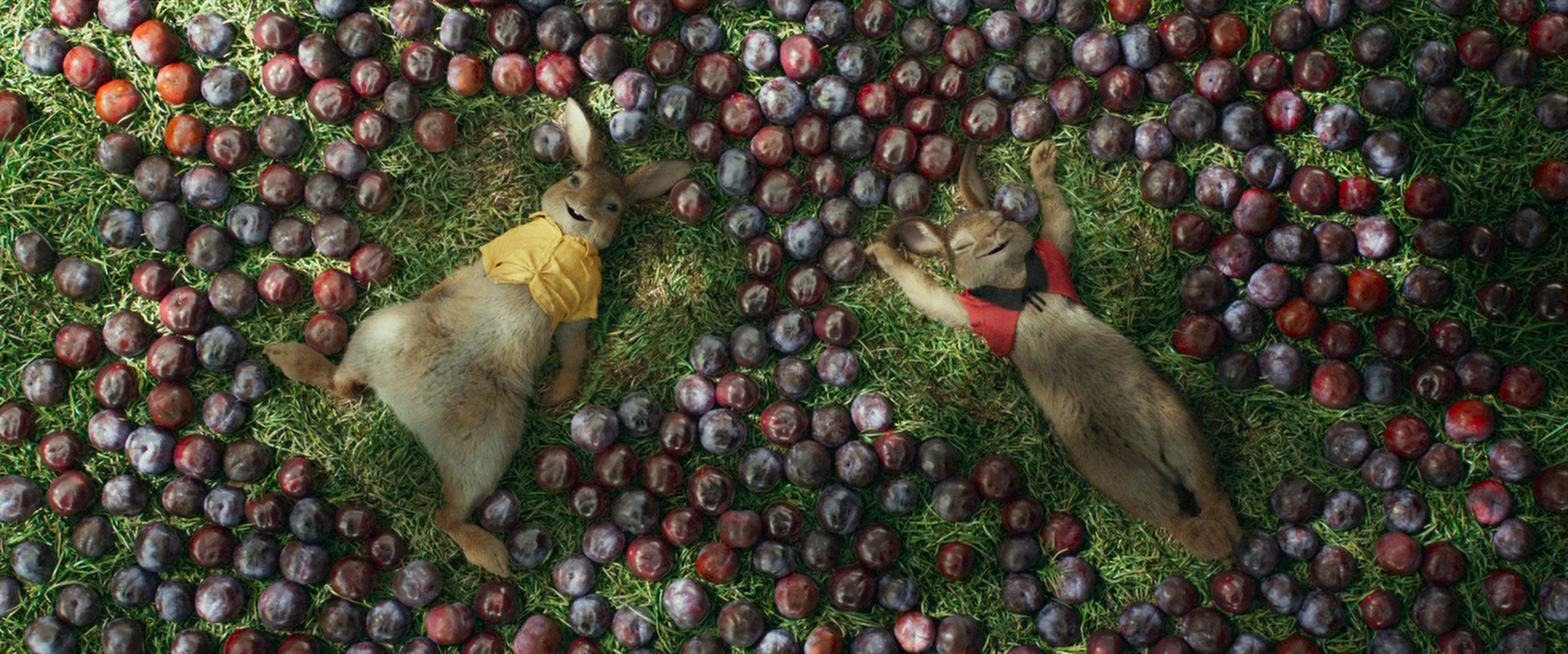 Picture of Peter Rabbit