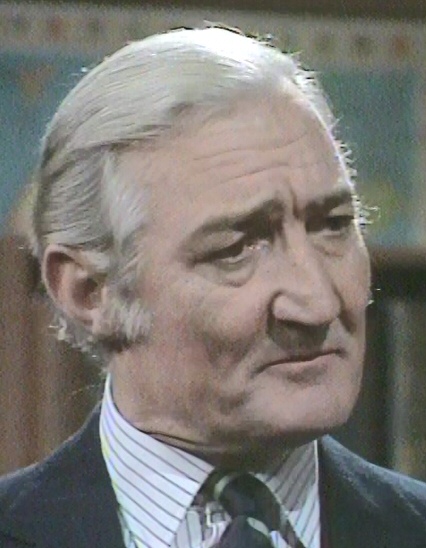 Image of The Commander