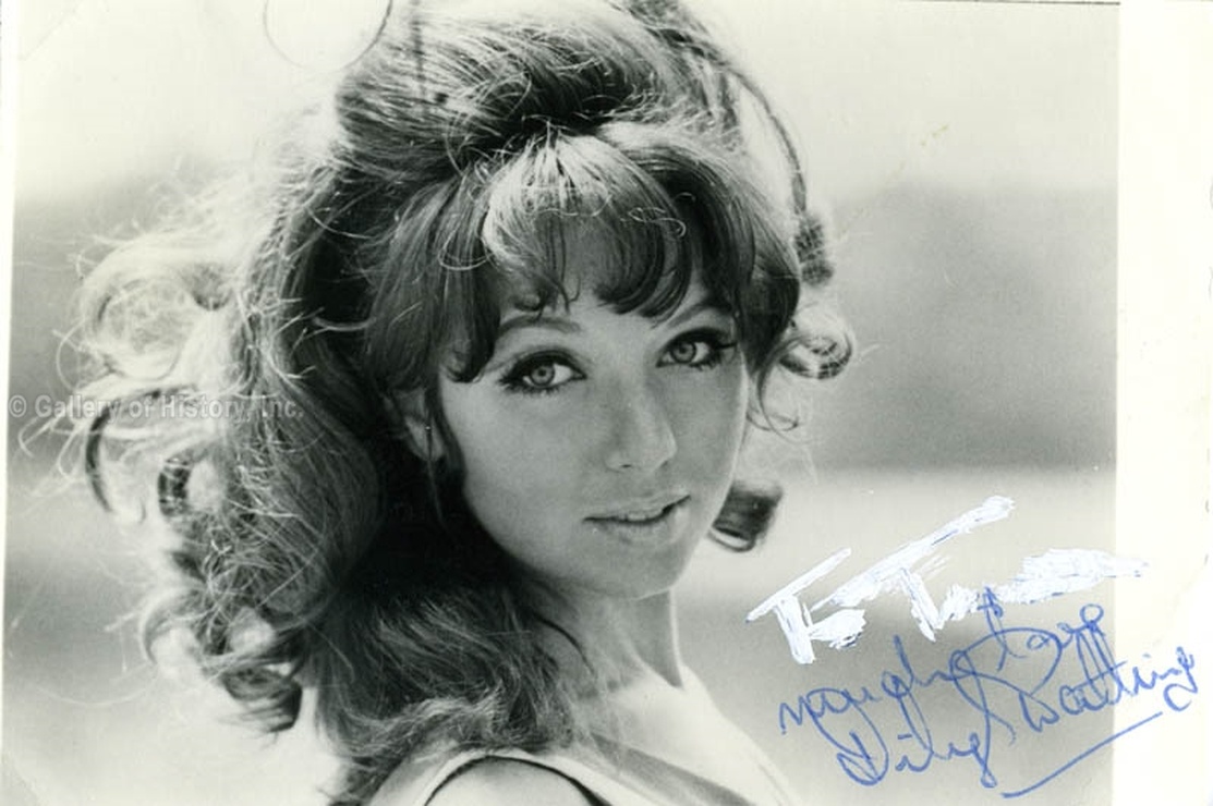 Picture of Dilys Watling