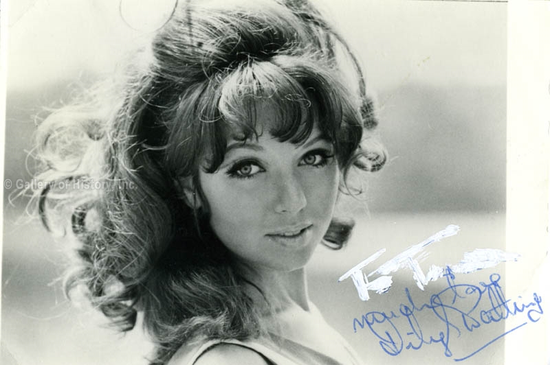 Picture of Dilys Watling