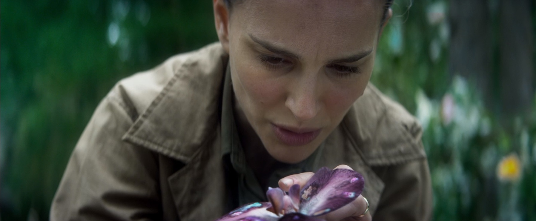 Picture of Annihilation