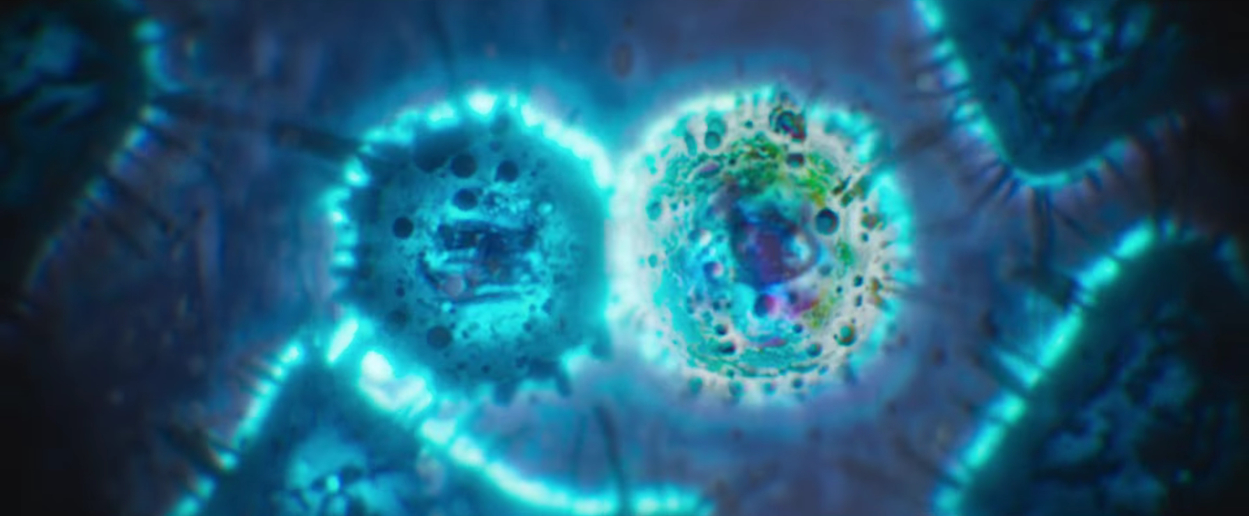 Picture of Annihilation