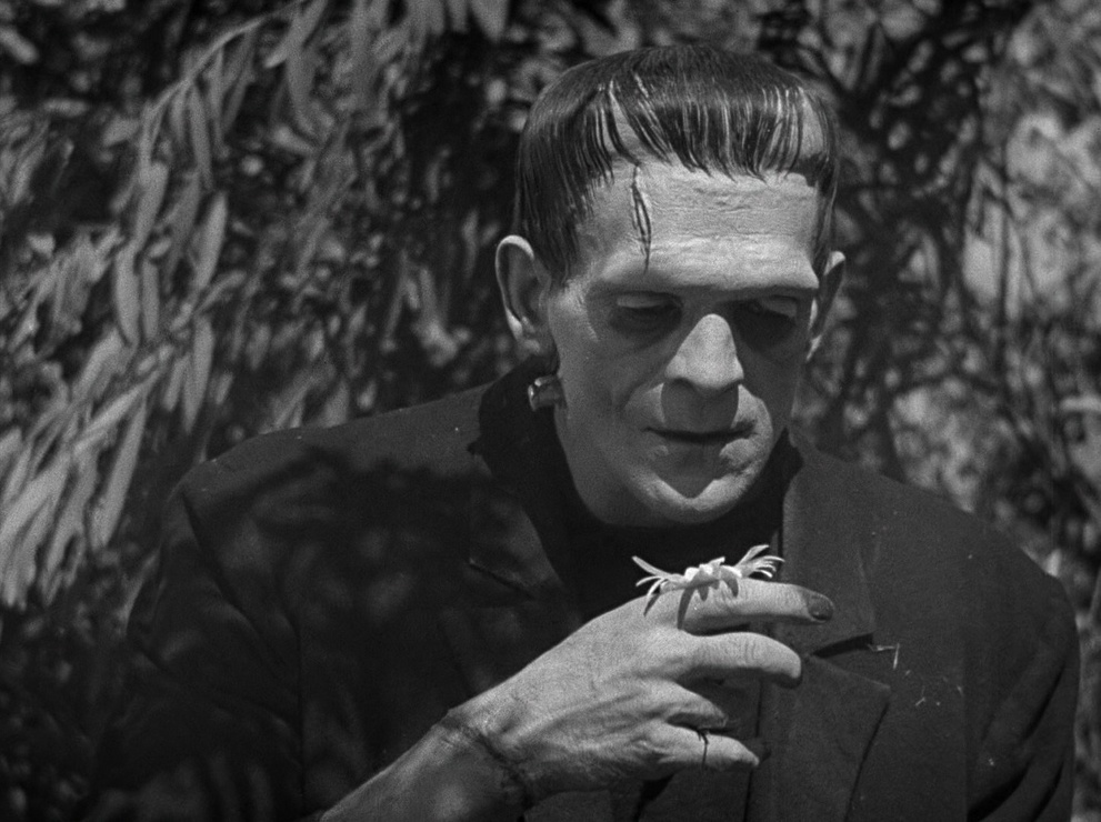 Picture of Frankenstein