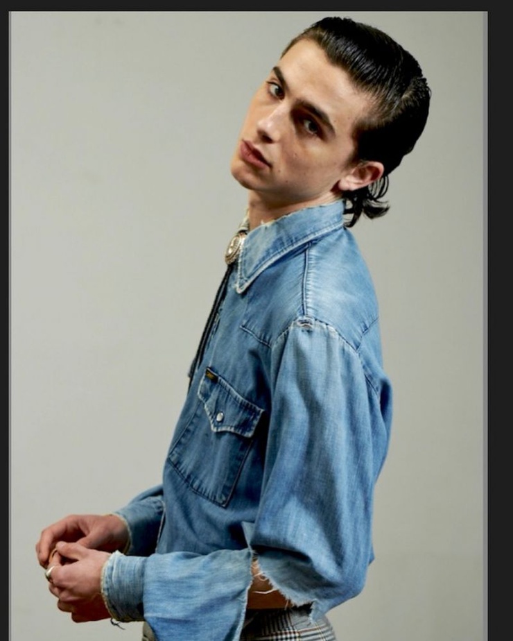 Picture of Timothée Chalamet