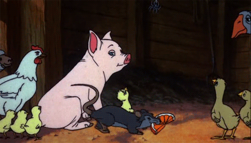 Image of Charlotte's Web