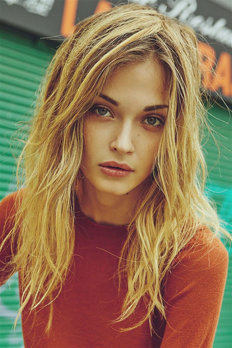 Picture of victoria plum