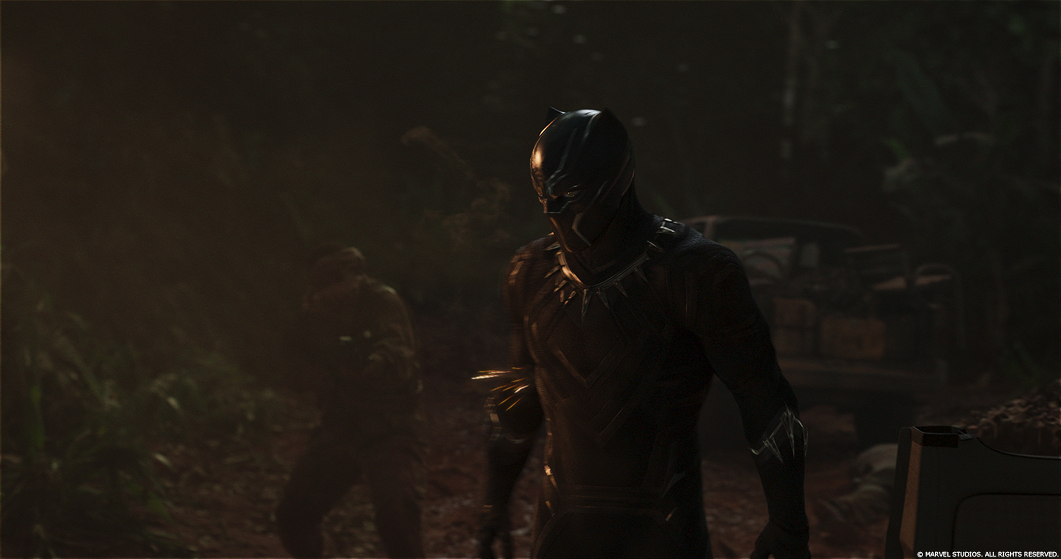 Black Panther (2018) picture