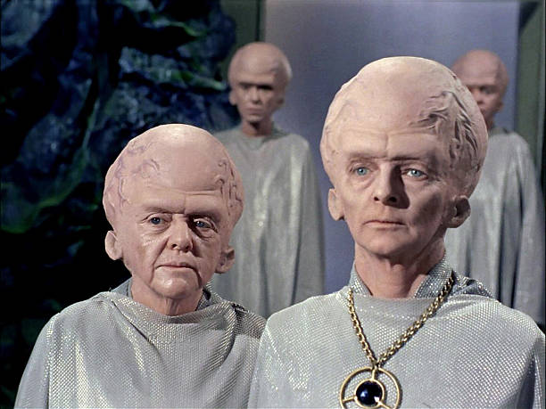 Georgia Schmidt, Meg Wyllie