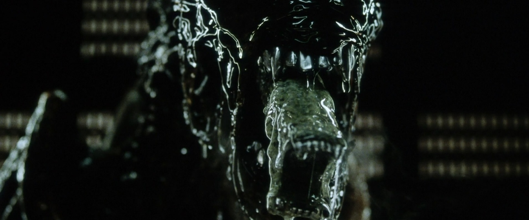 Picture of Alien: Resurrection