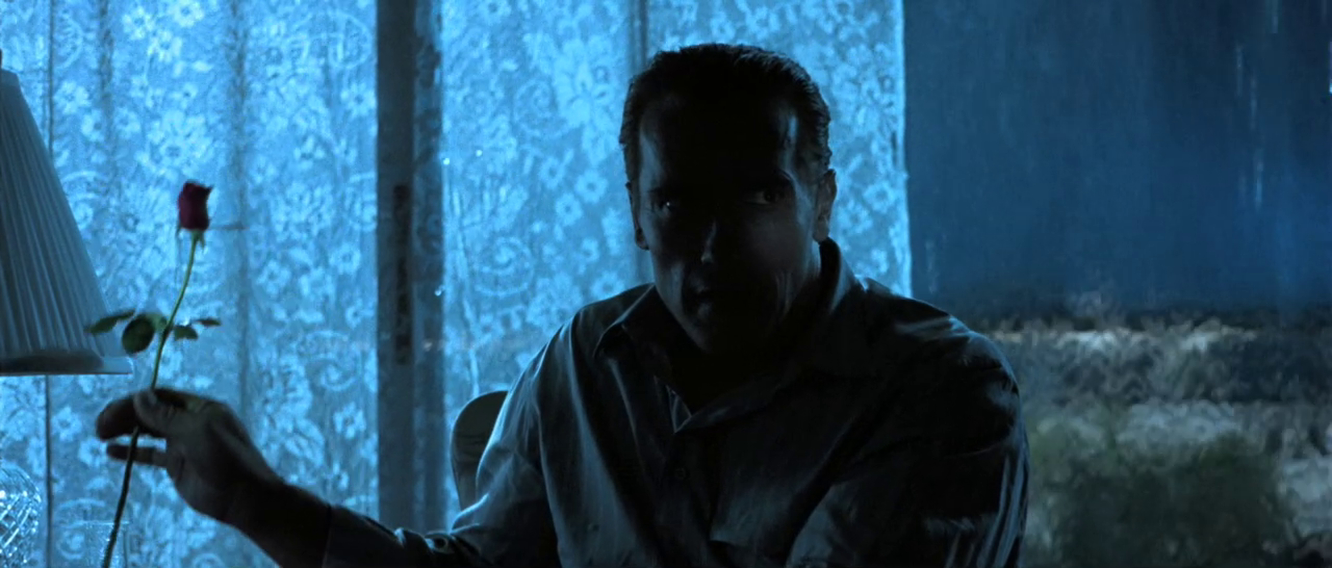 Picture of True Lies