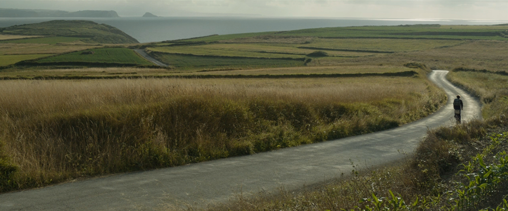 Picture of Marrowbone