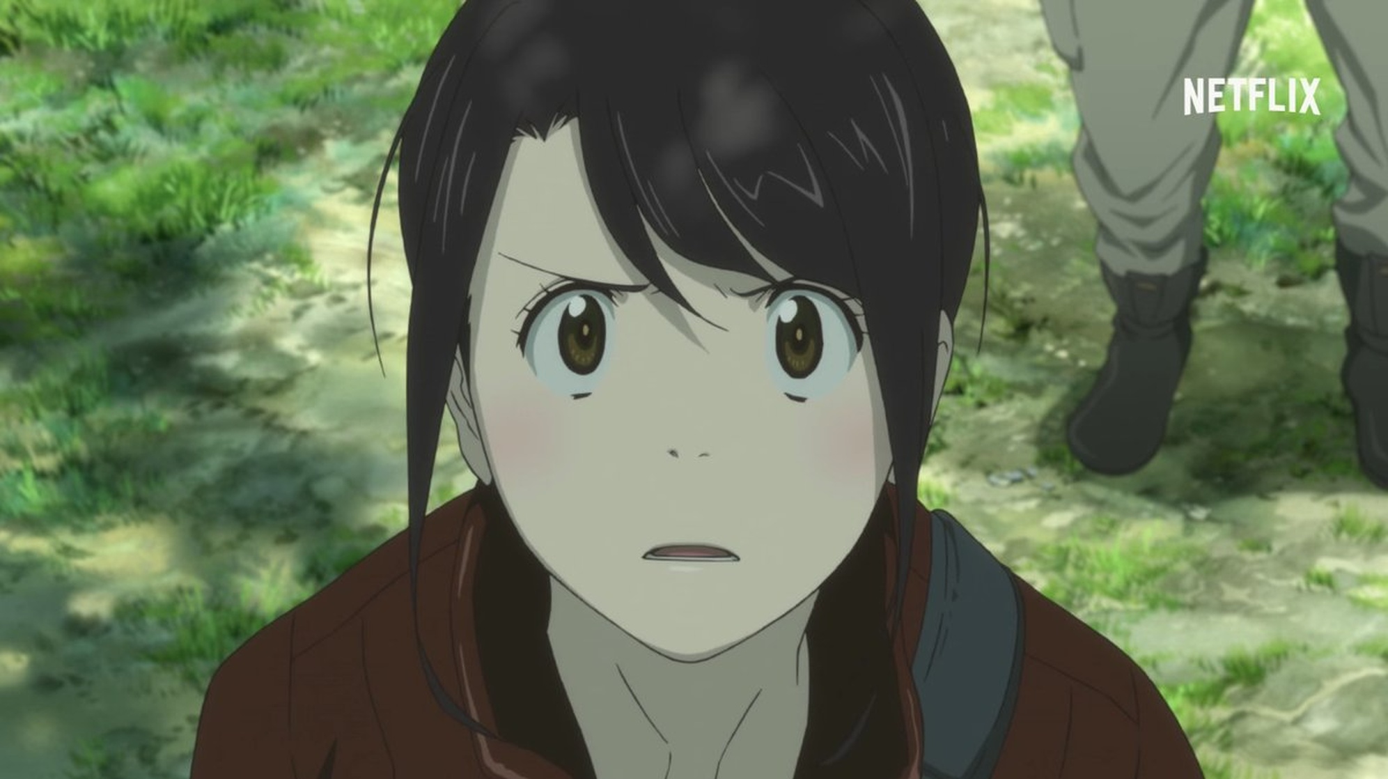 Picture of B: The Beginning