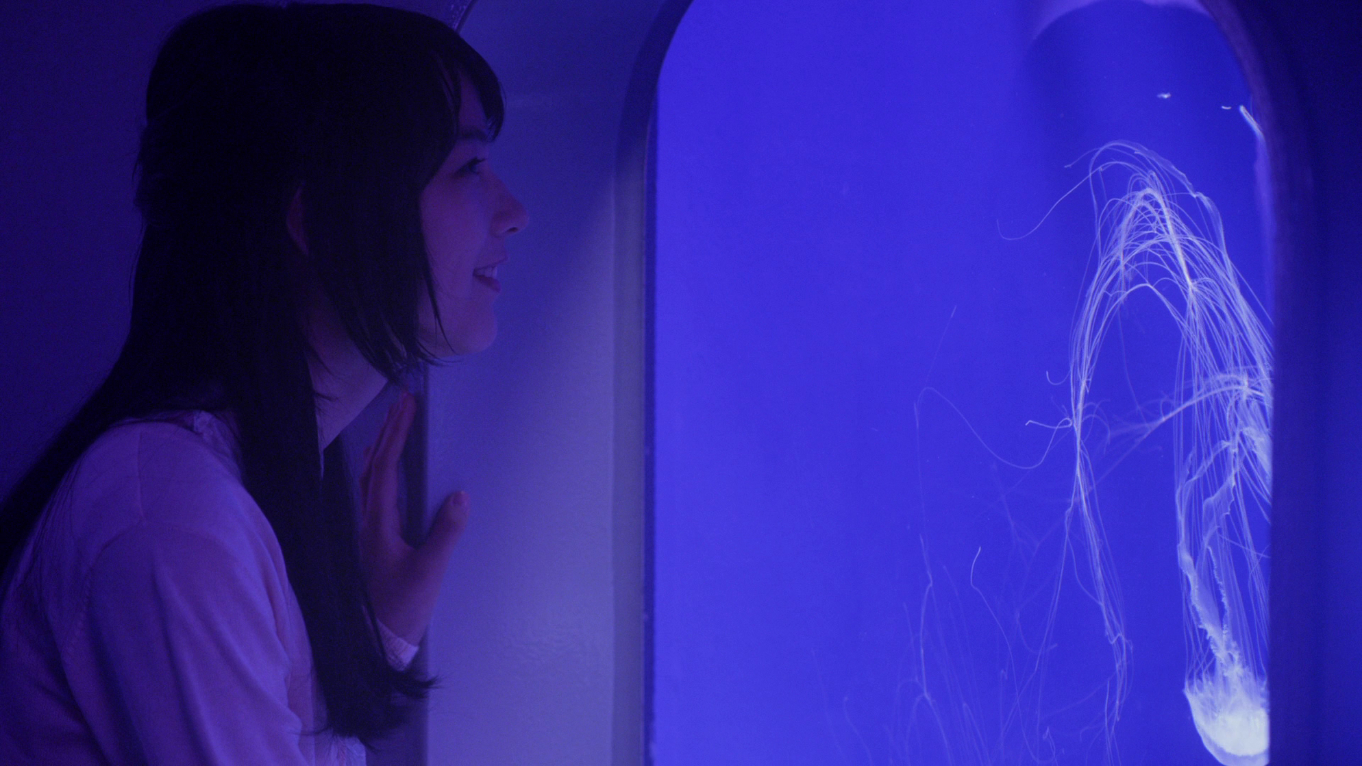 Princess Jellyfish picture