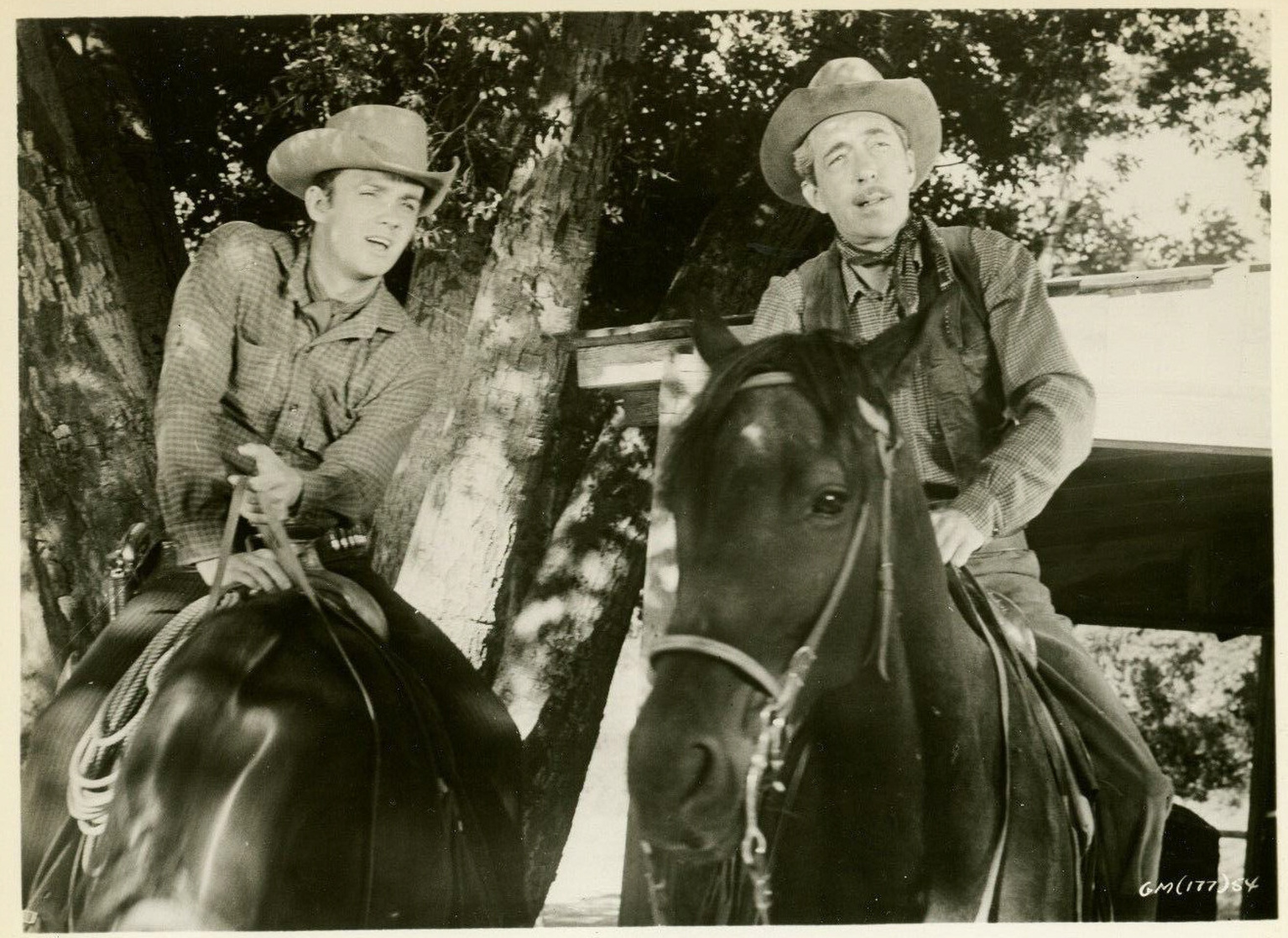 Picture of Ben Cooper