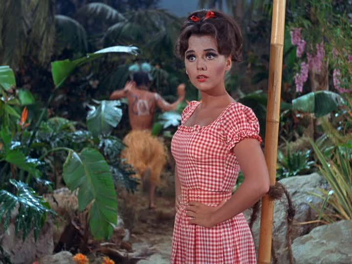 Picture of Dawn Wells