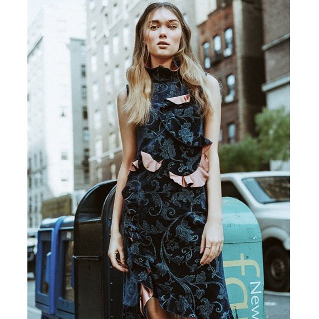 Image of Puck Loomans