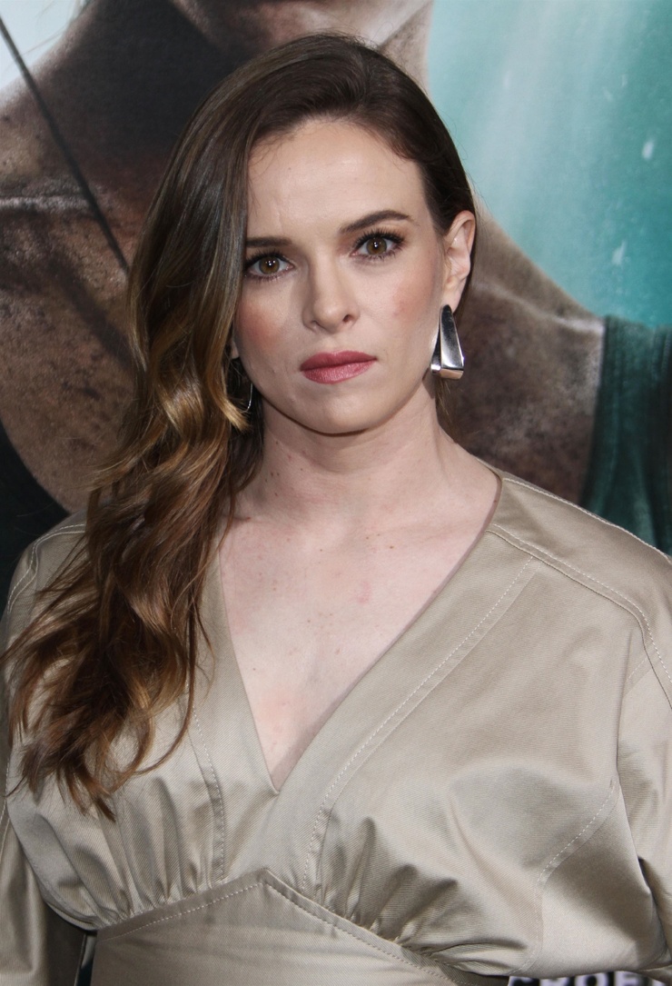 Picture of Danielle Panabaker