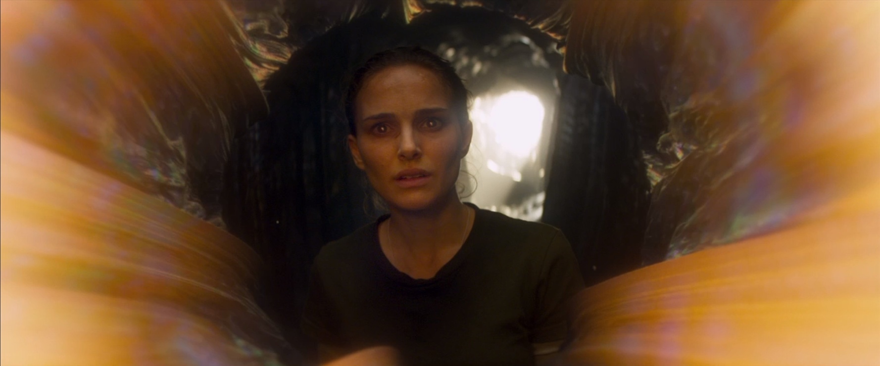 Picture of Annihilation