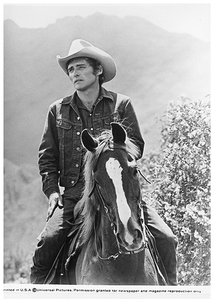 Picture of The Last Movie (1971)