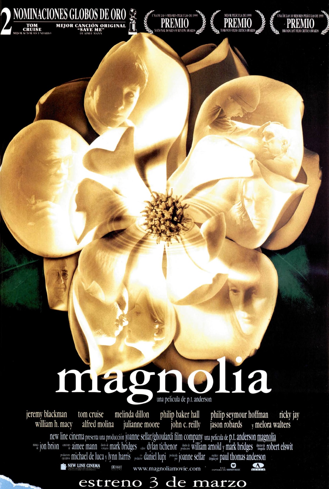 Picture of Magnolia