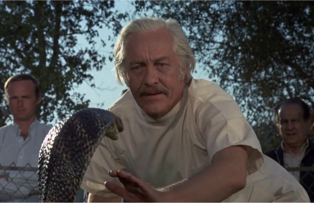 Picture of Strother Martin