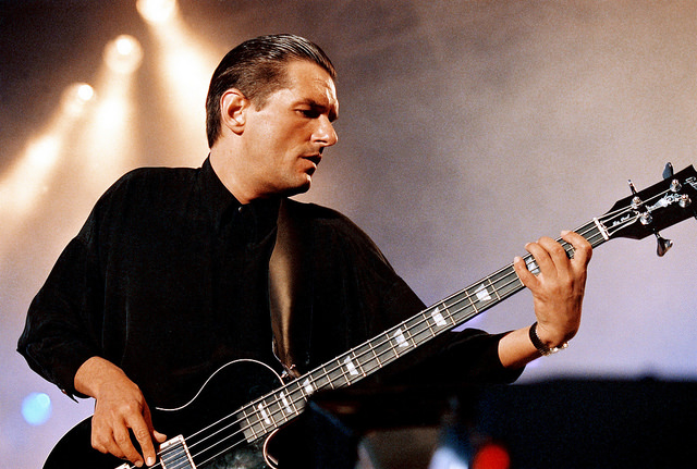Picture of Falco