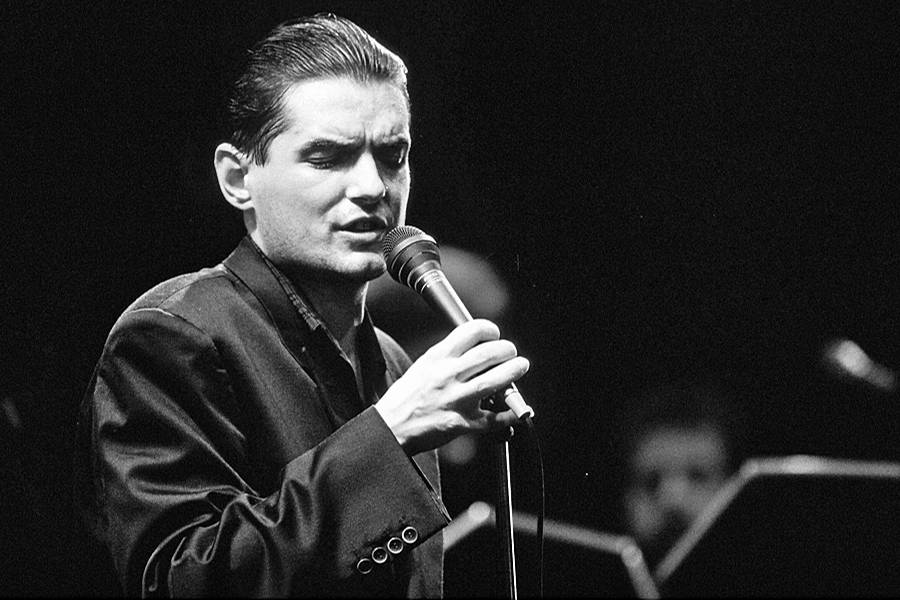 Image of Falco
