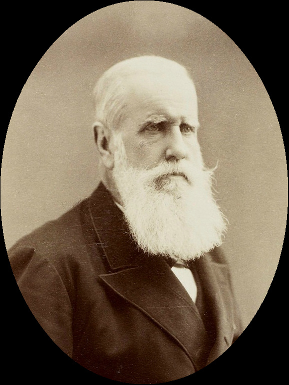 Picture of Pedro II of Brazil