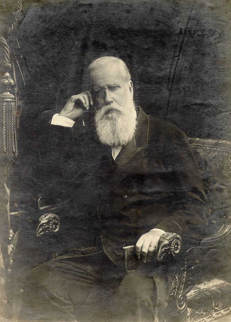 Pedro II of Brazil image
