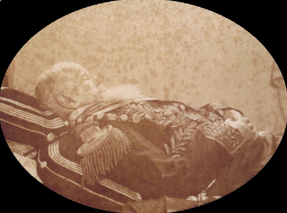 Picture of Pedro II of Brazil