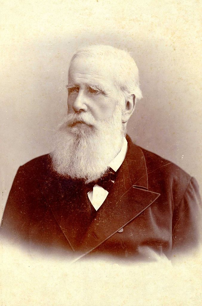 Picture of Pedro II of Brazil