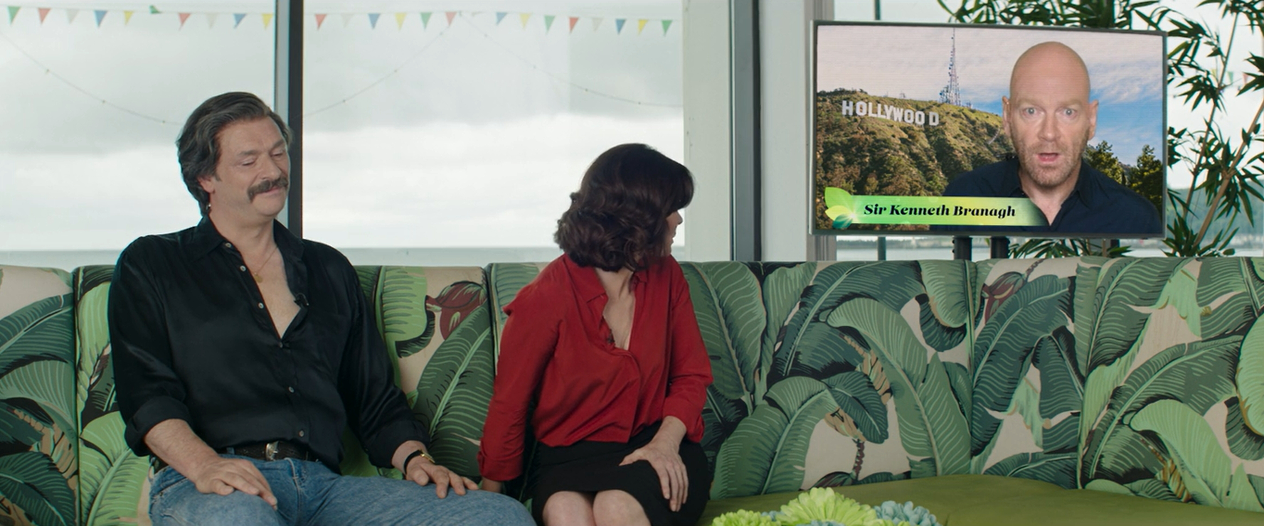 Picture of Mindhorn (2016)