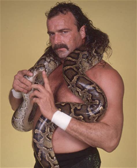 Picture of Jake Roberts