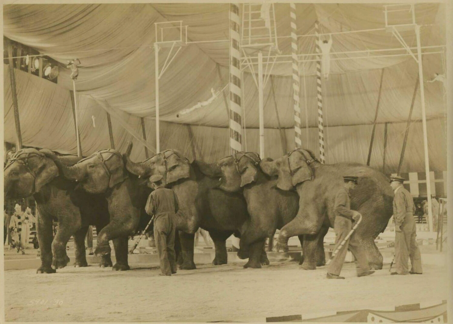 Picture of The Big Circus