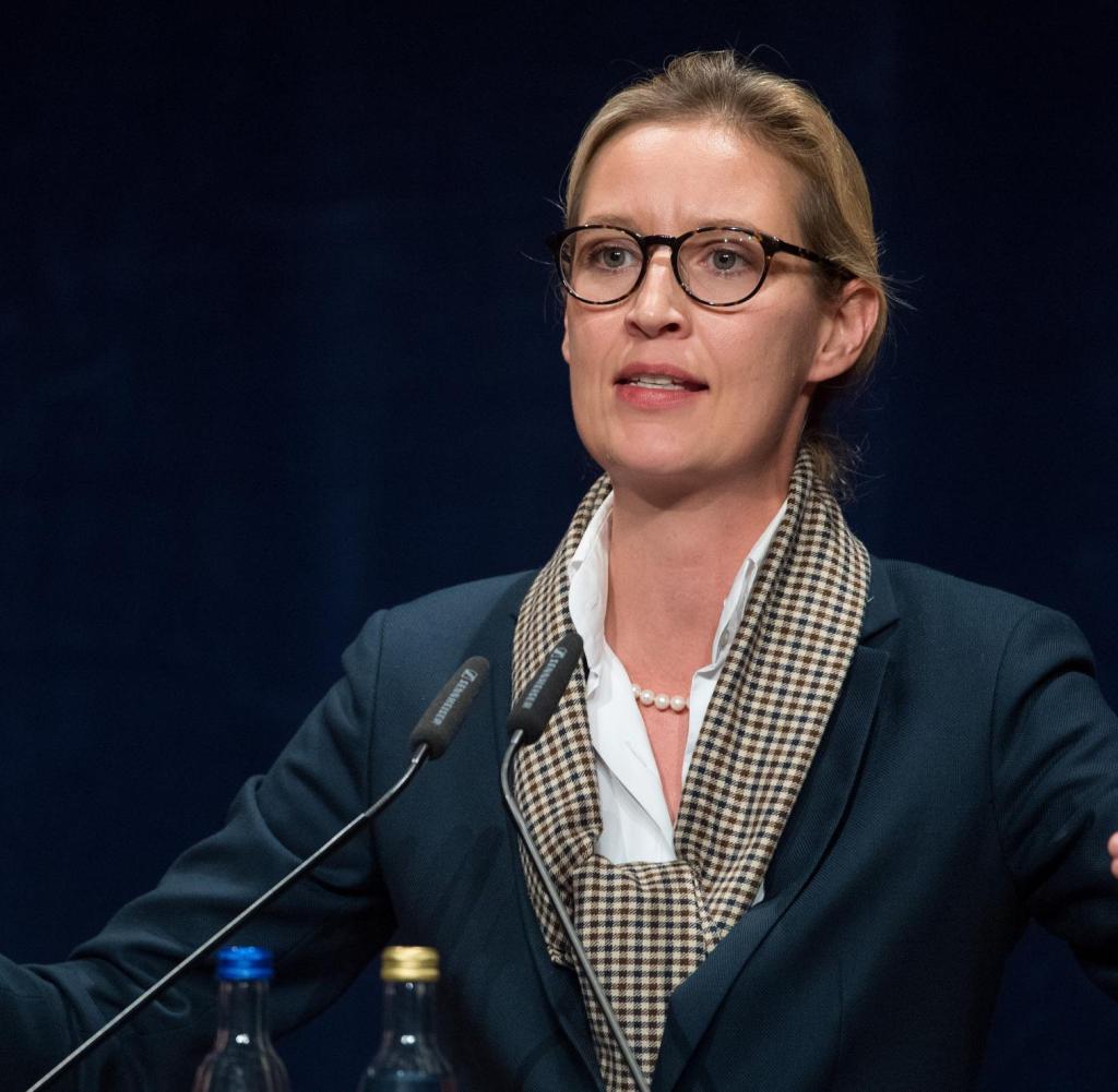 Alice Weidel picture