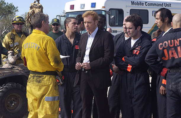 Picture of CSI: Miami