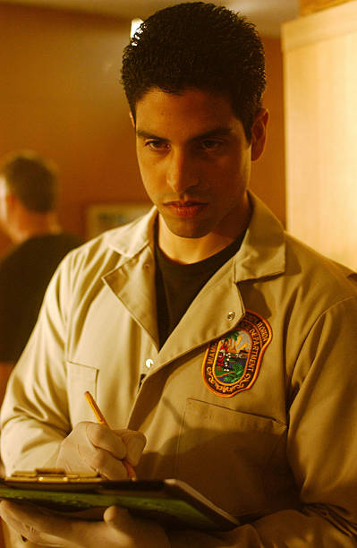 Picture of CSI: Miami