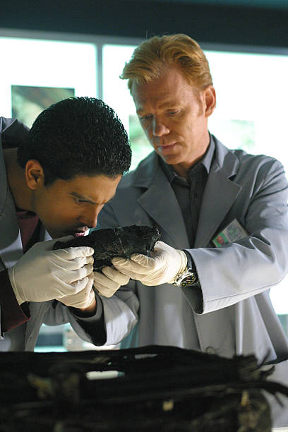 CSI: Miami picture