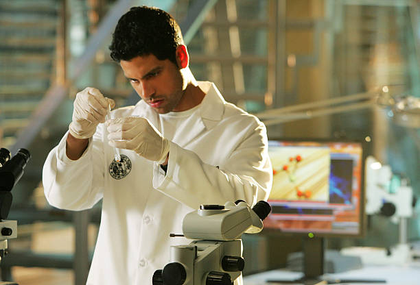 Picture of CSI: Miami