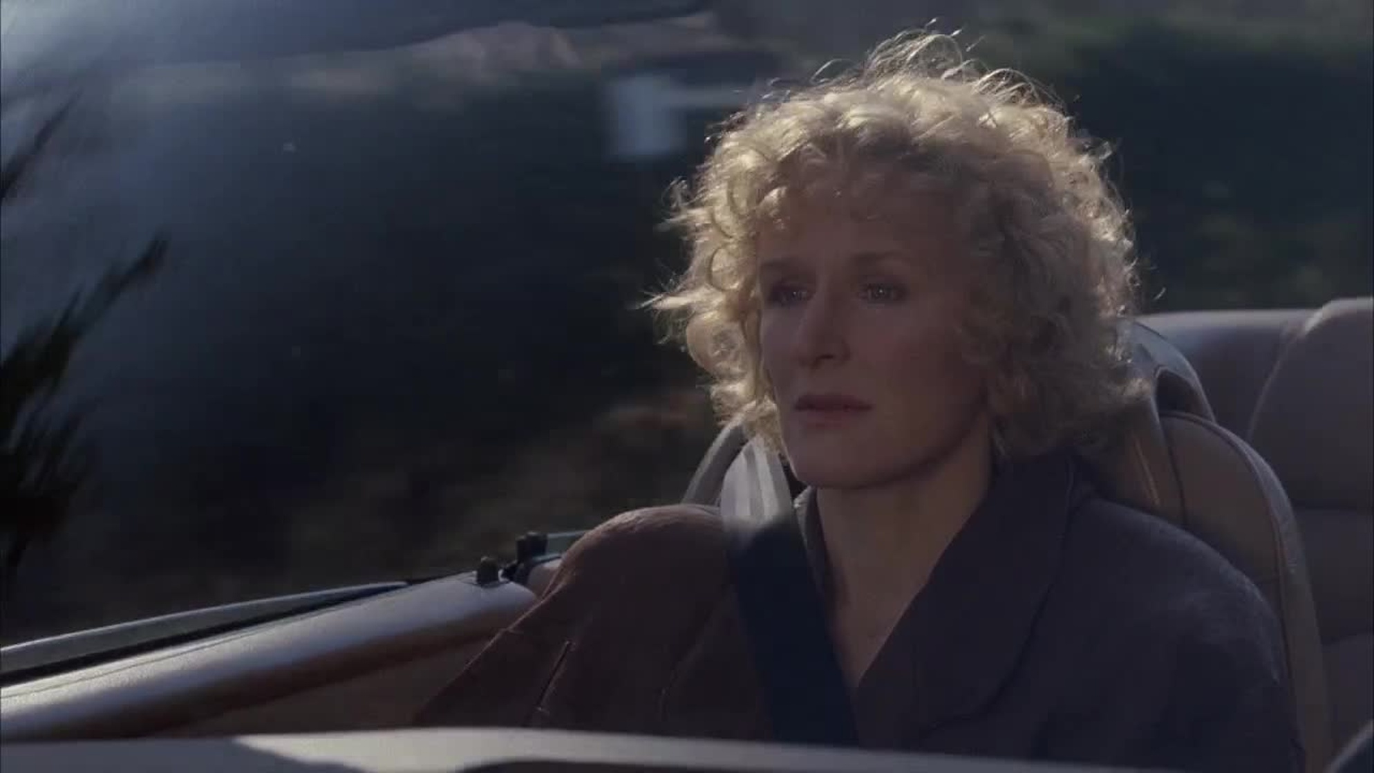 Immediate Family image