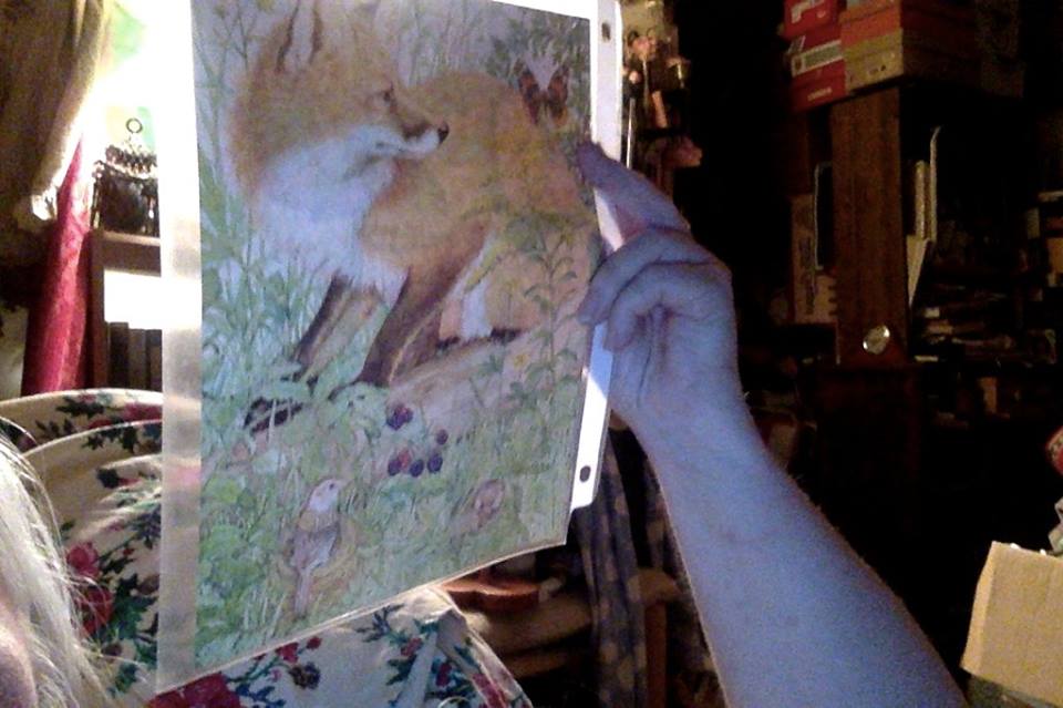 FOX PIC from magazine