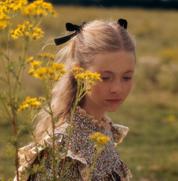 Picture of Judi Bowker