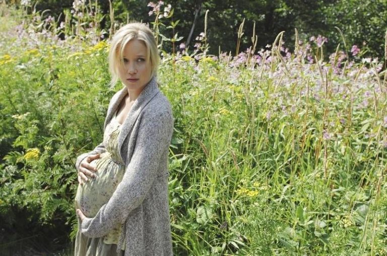 Picture of Cinderella "Ella" (Once Upon a Time)
