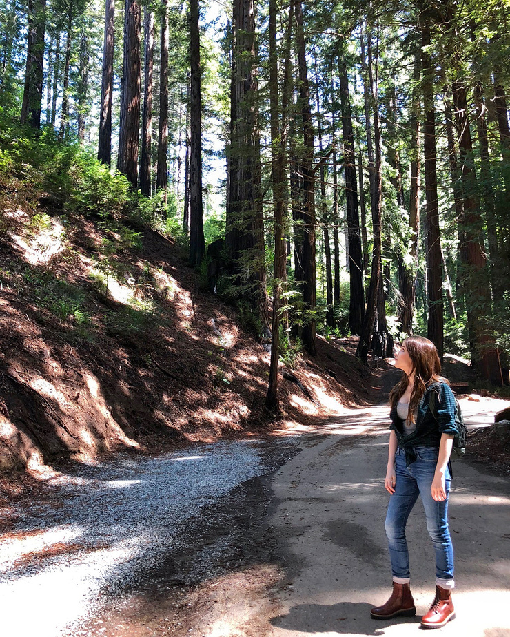 Picture of Anna Kendrick