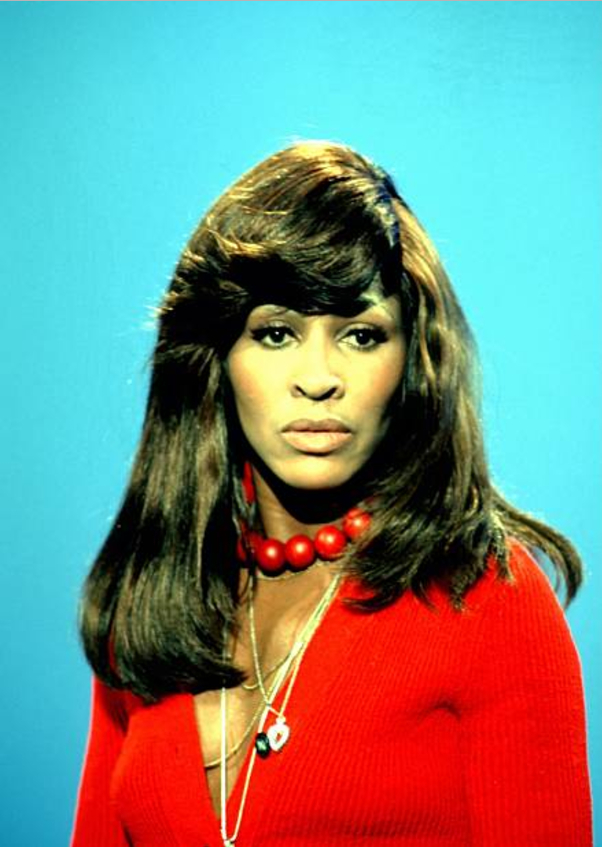 Tina Turner image