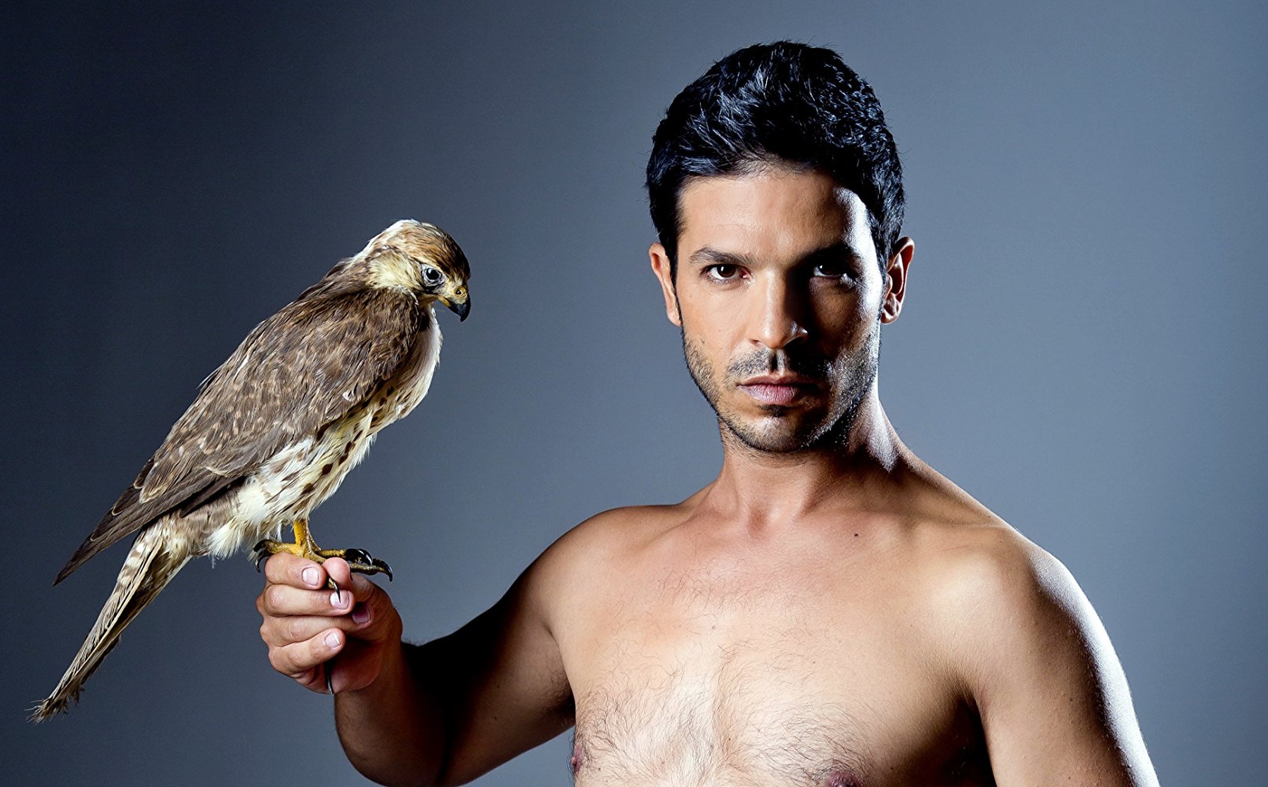 Picture of Roy Assaf