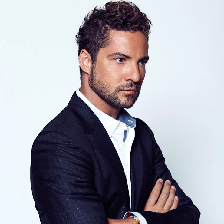 Picture of David Bisbal