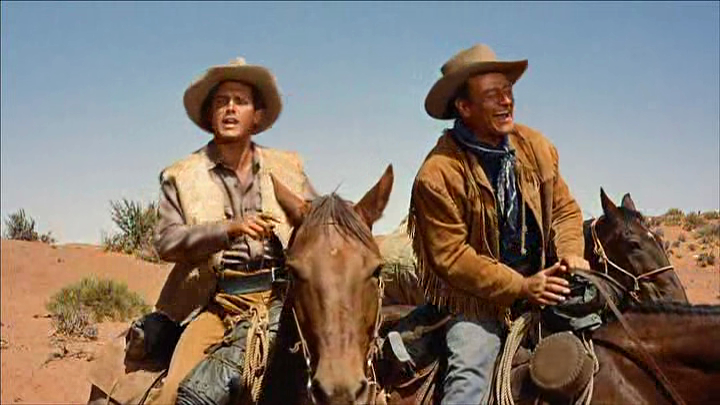 Picture of The Searchers