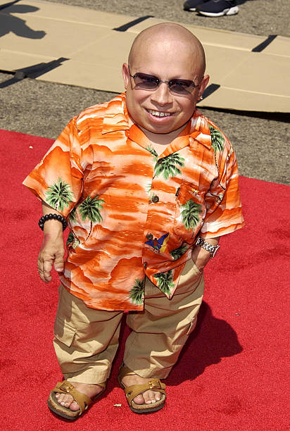 Verne Troyer