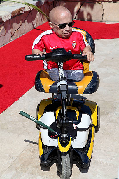 Verne Troyer